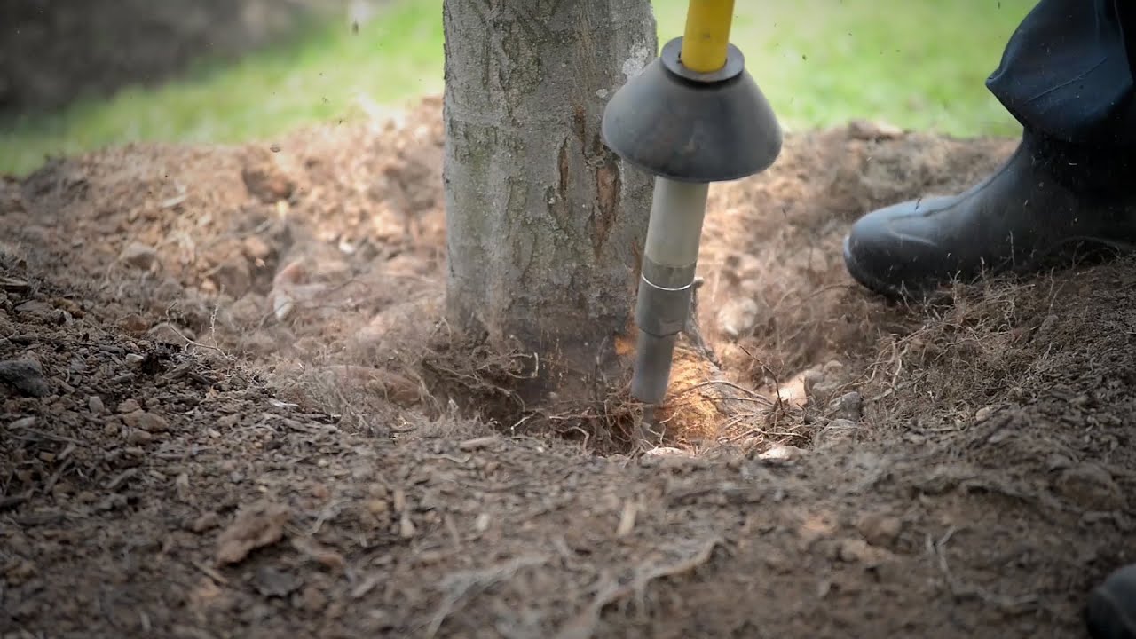 How to Excavate a Root Collar and Remove a Mulch Volcano - YouTube