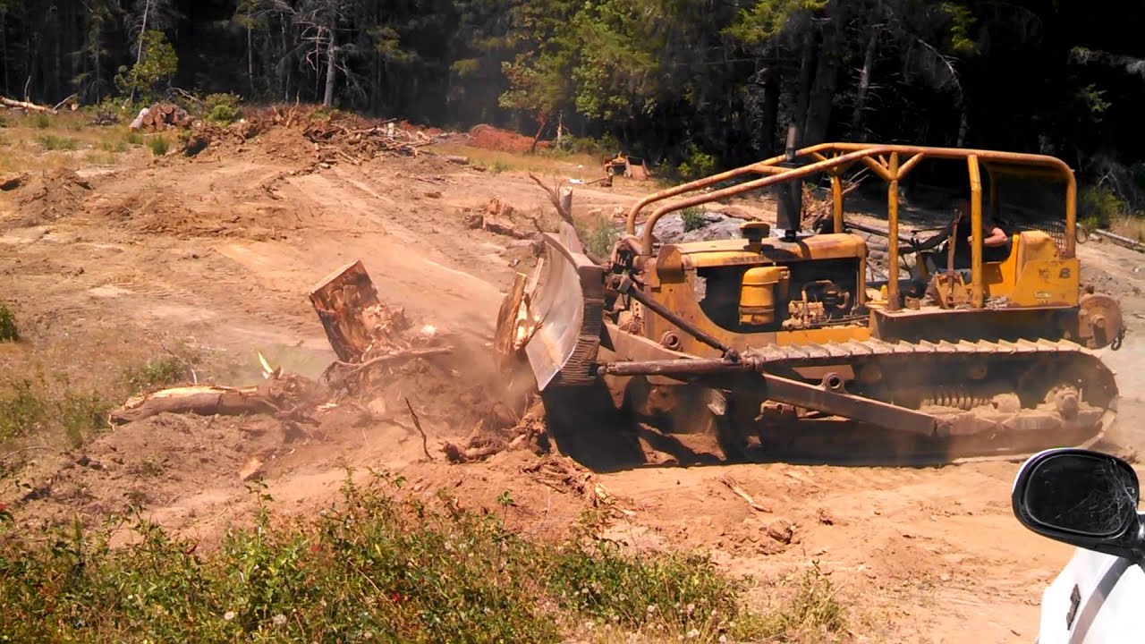 D8 14A pushing out a stump - YouTube