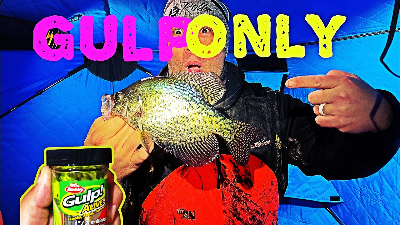 GULP Pink Fry Crushes BIG Crappies! - YouTube