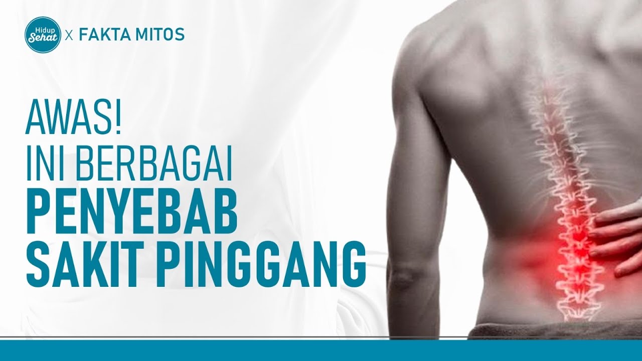 Jangan Anggap Remeh Nyeri Sakit Pinggang, Ini Beragam Penyebabnya ...