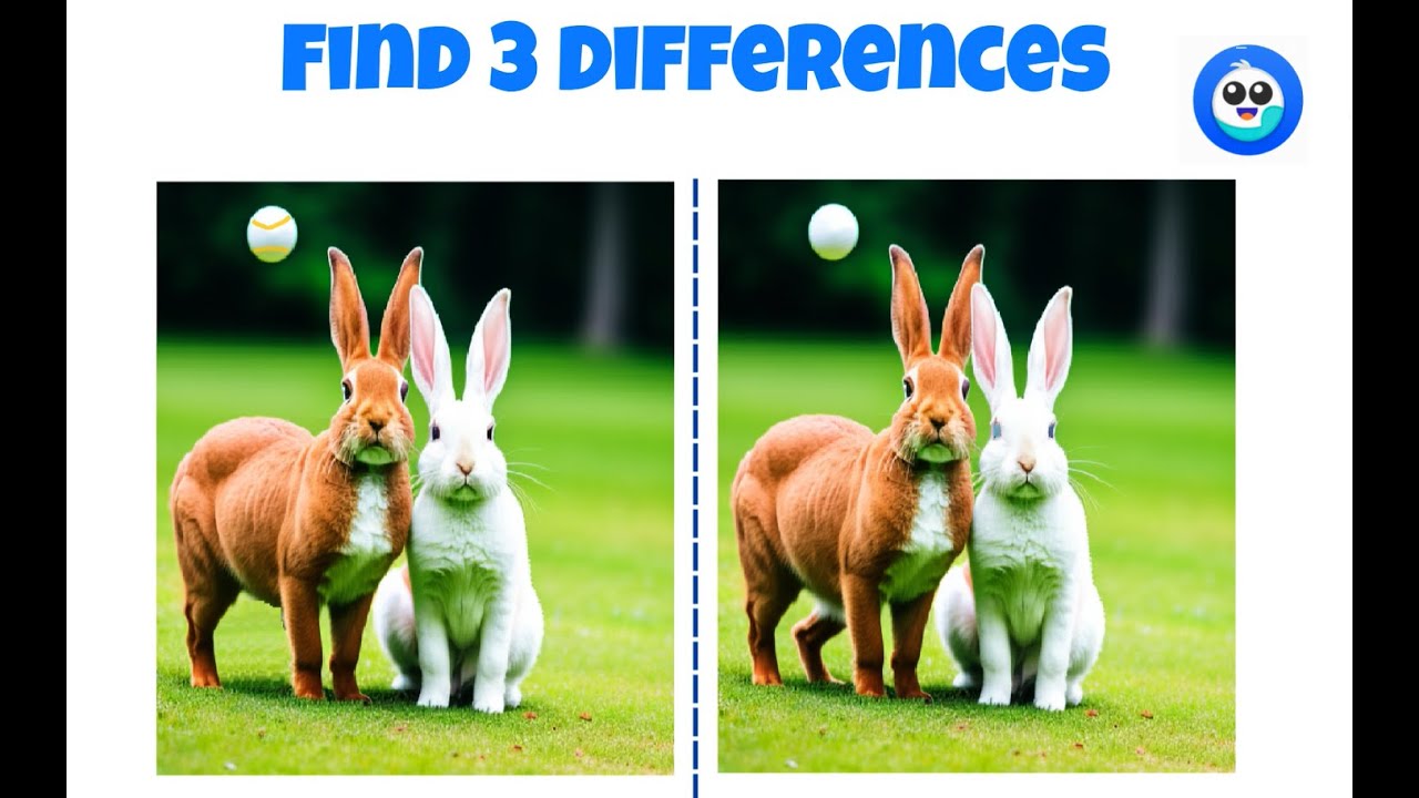 Find the Difference Bunnies - YouTube