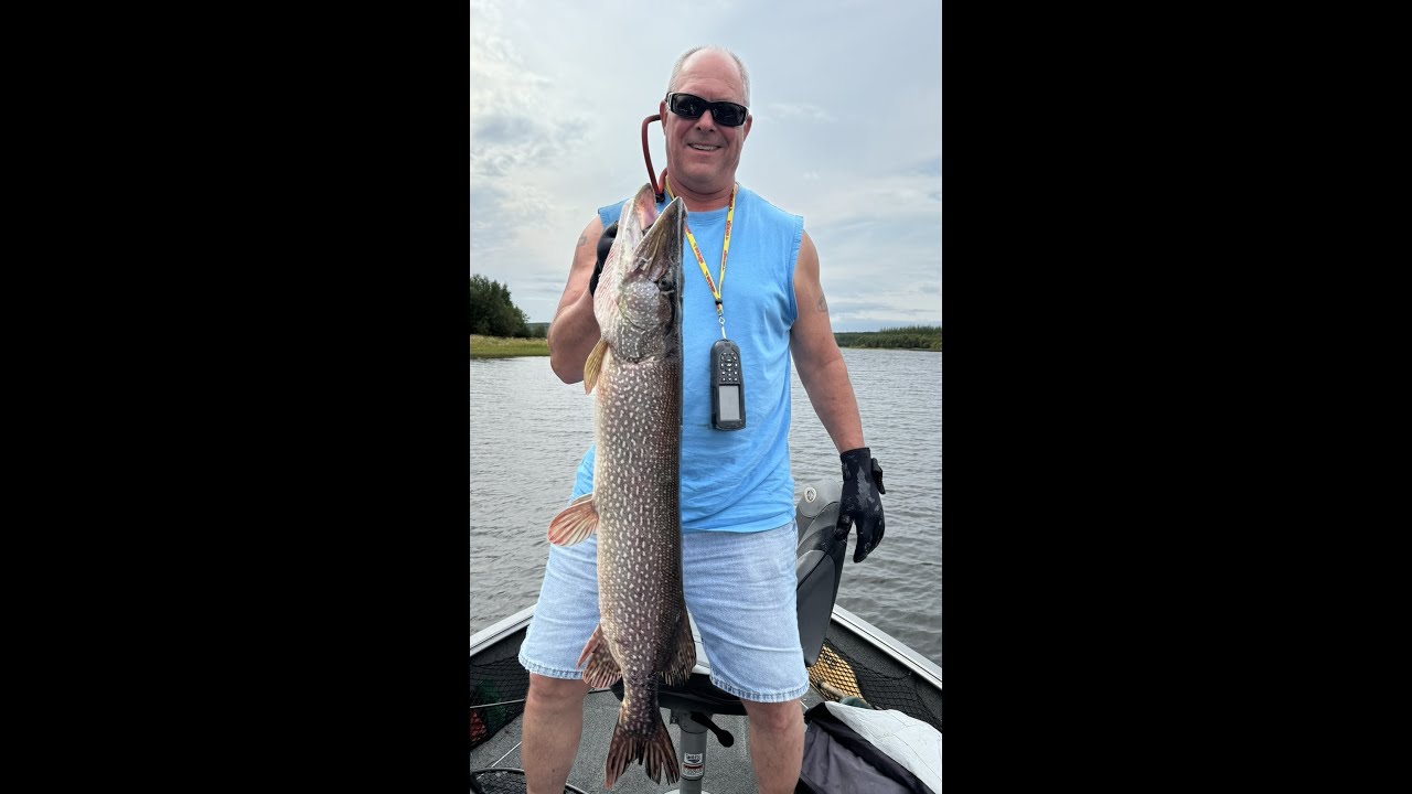 Big Northern jumping during the fight - YouTube