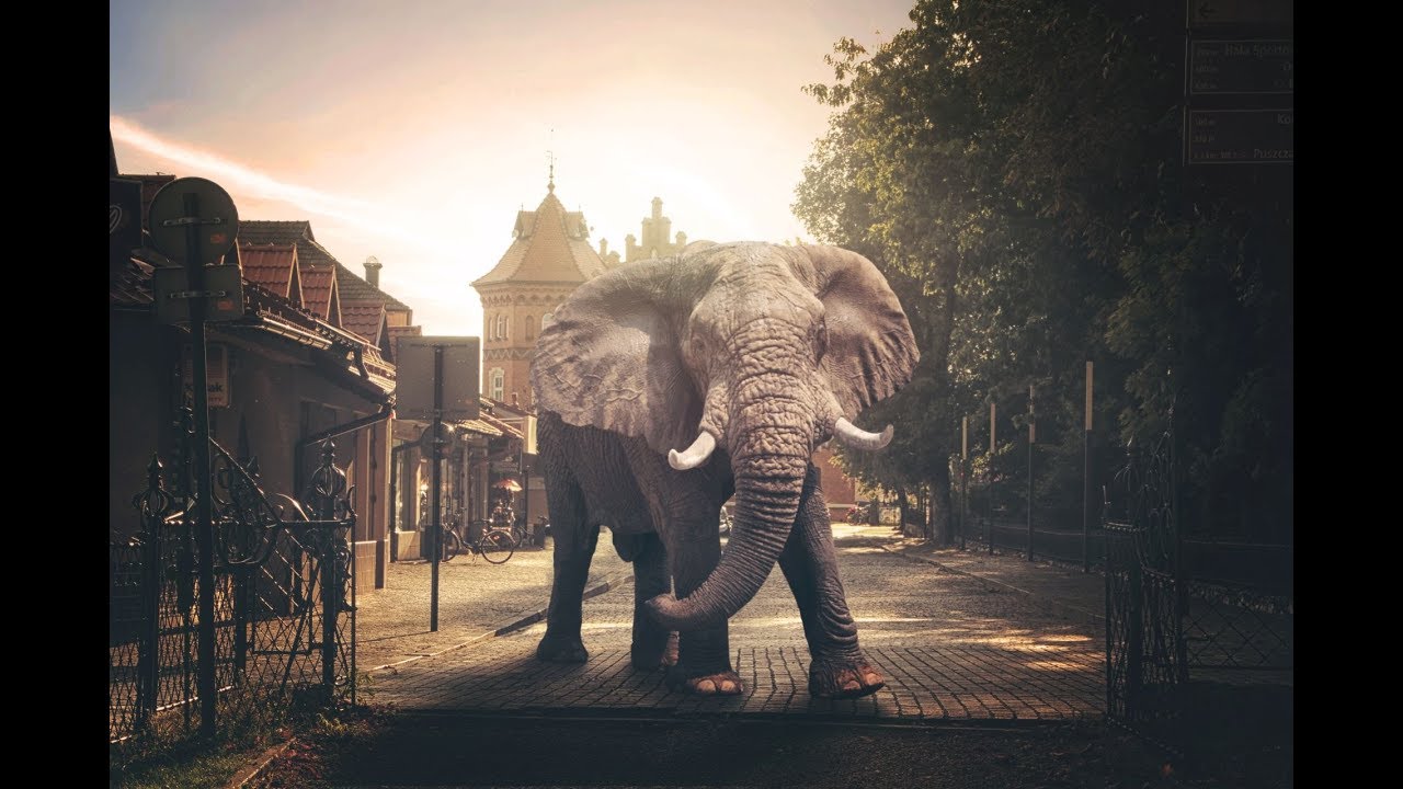 How to make a poor picture look better - speed photoshop tutorial ...