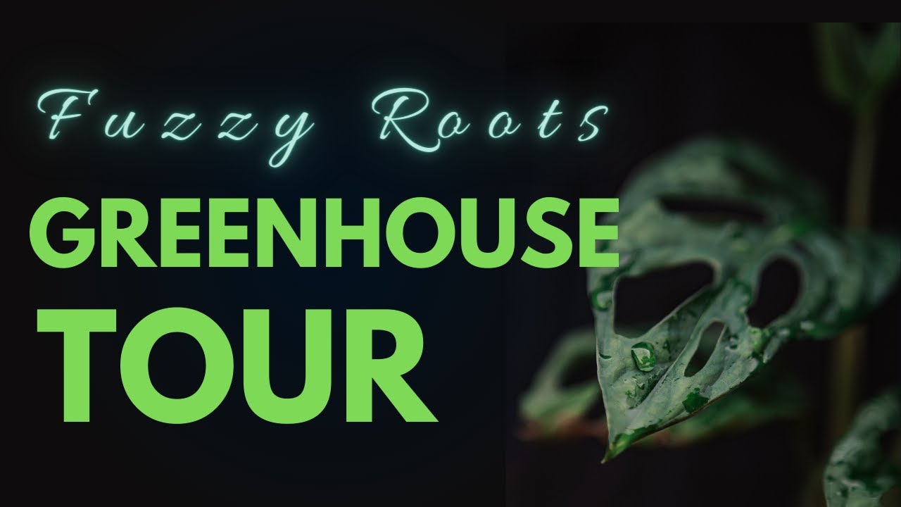 Tour the Fuzzy Roots Greenhouse! - YouTube