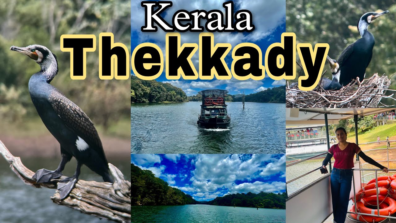 Trip to Thekkady | Boating | Periyar Tiger Reserve | Kerala #pinkakhox ...
