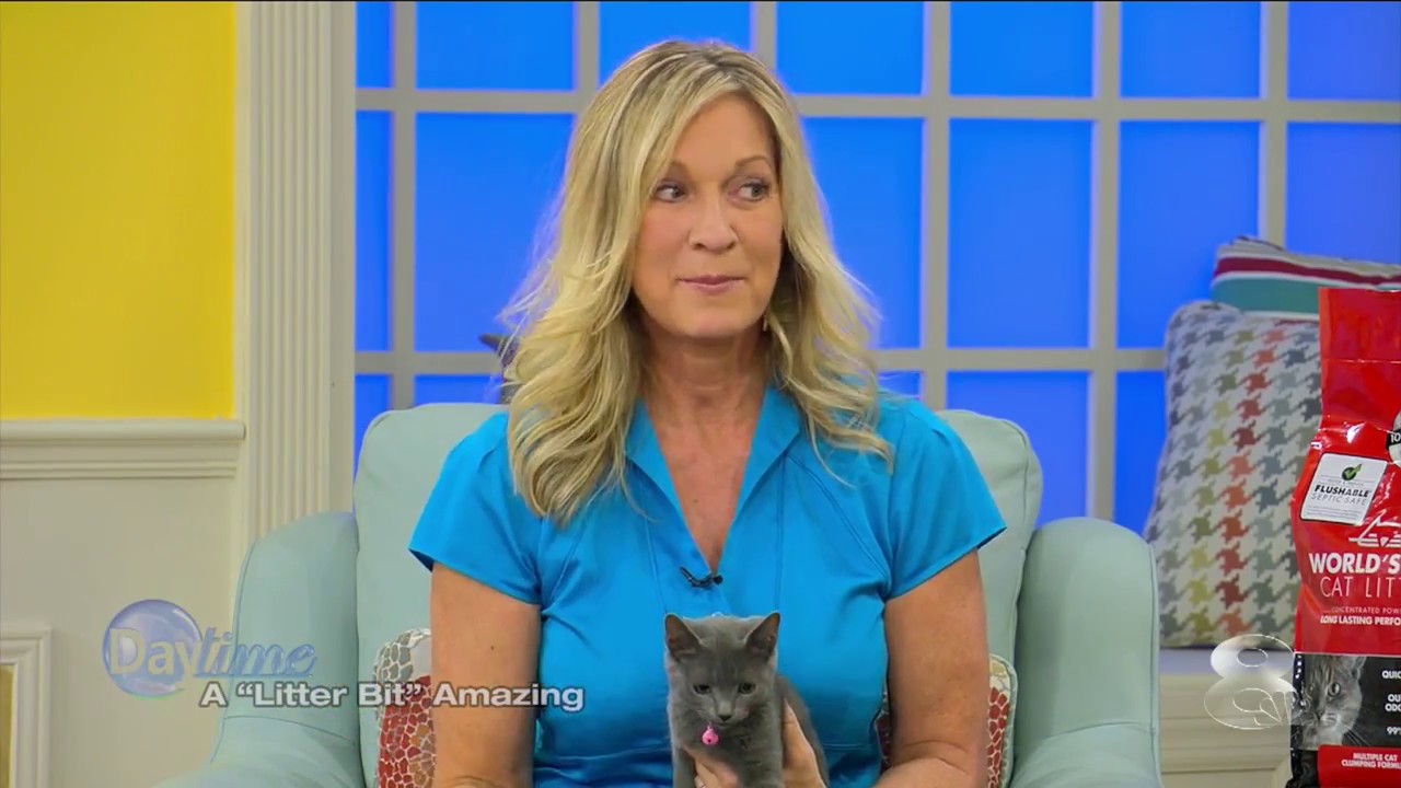 A Litter Bit Amazing with Kristen Levine - YouTube