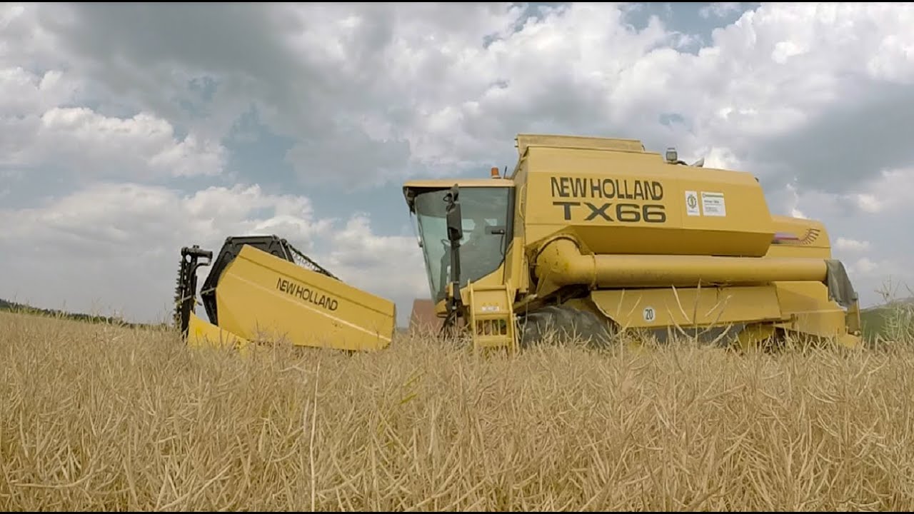 Rapsernte 2015| New Holland auf der Jagd nach dem schwarzen Gold| New ...