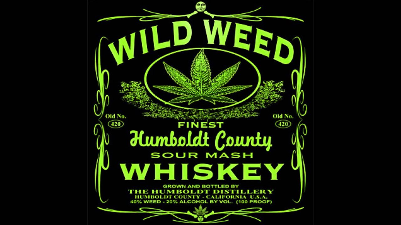 Bounce - Whiskey (instrumental Karie) - YouTube