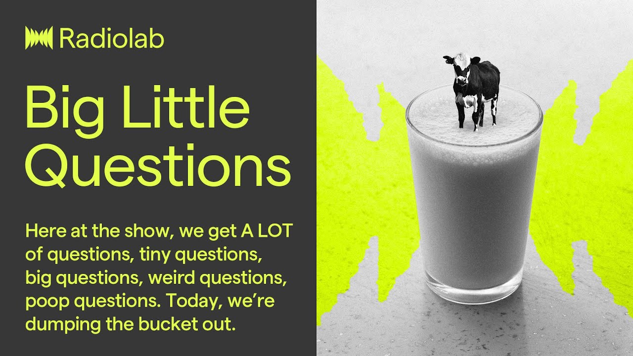 Big Little Questions | Radiolab Podcast - YouTube
