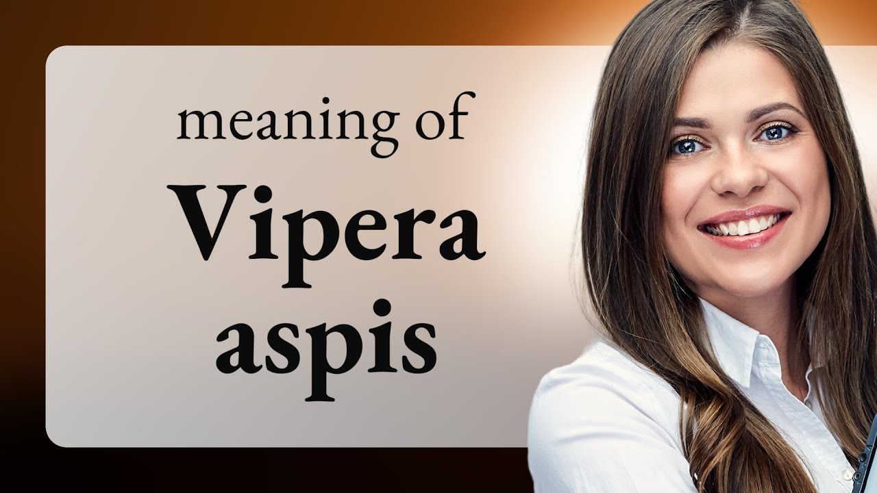 Vipera aspis | VIPERA ASPIS meaning - YouTube