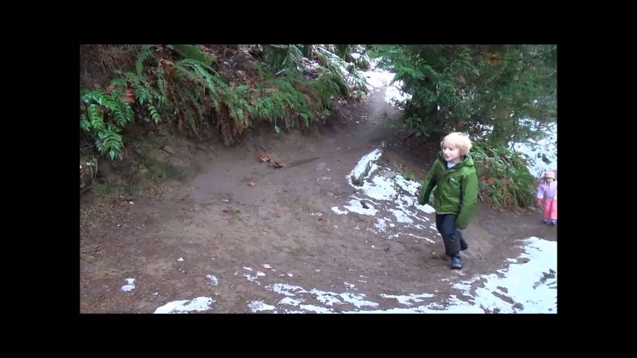 The Case of the Missing Christmas Tree - YouTube