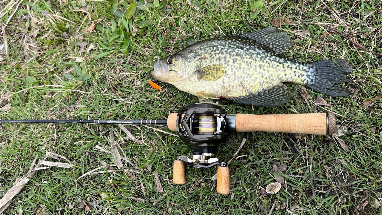 Crazy Crappie - YouTube