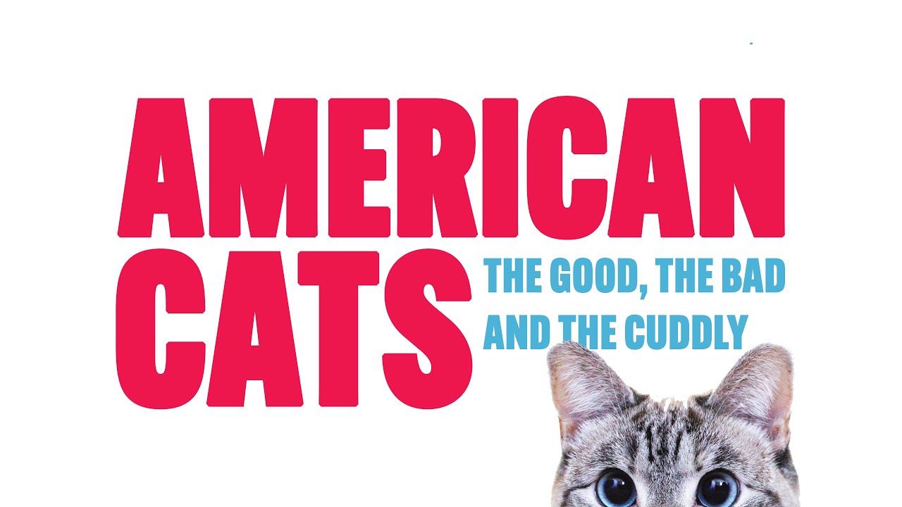 American Cats: The Good, The Bad & The Cuddly [Documentary Trailer] - YouTube