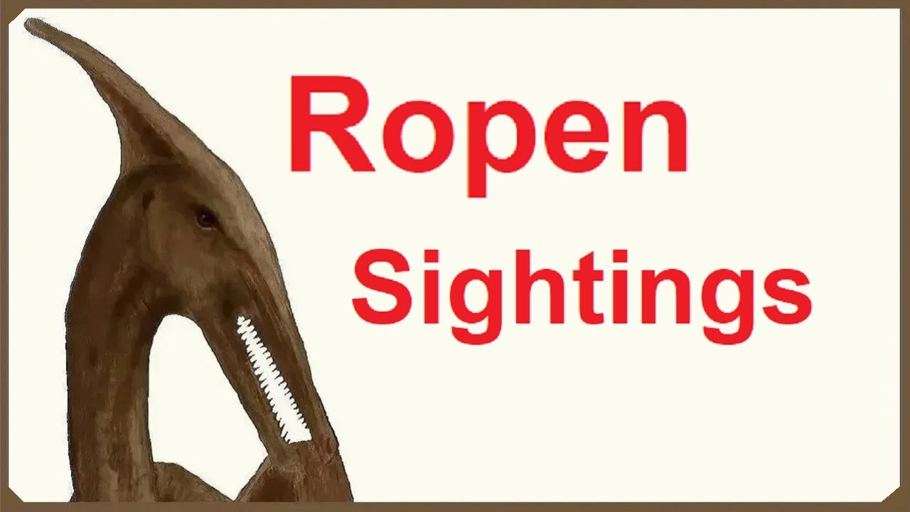 Ropen! Flying-Dinosaur Sightings Worldwide - YouTube