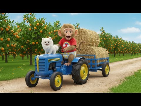 Monkey Zaza’s Hay Trip Turns Into a Heart-Pounding Puppy Rescue! 🐒🐶💥