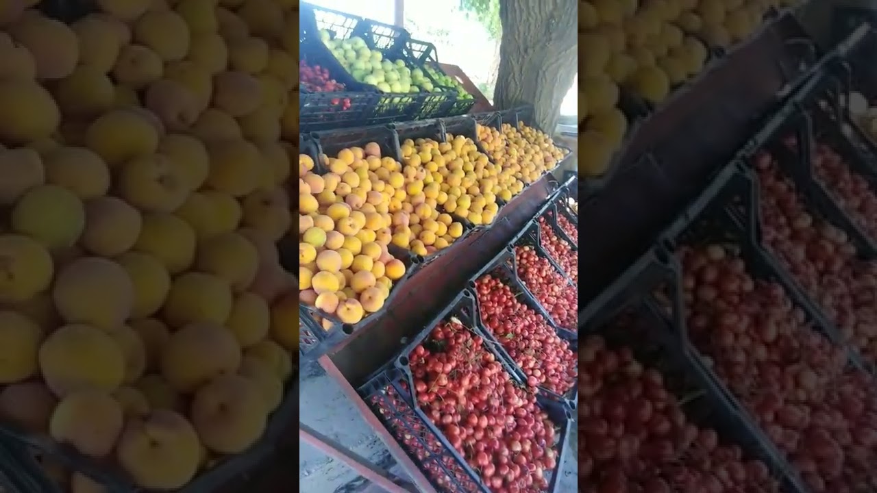 Ashawa Tourist Resort Area in Duhok Governorate Kurdistan Region _ Iraq ...