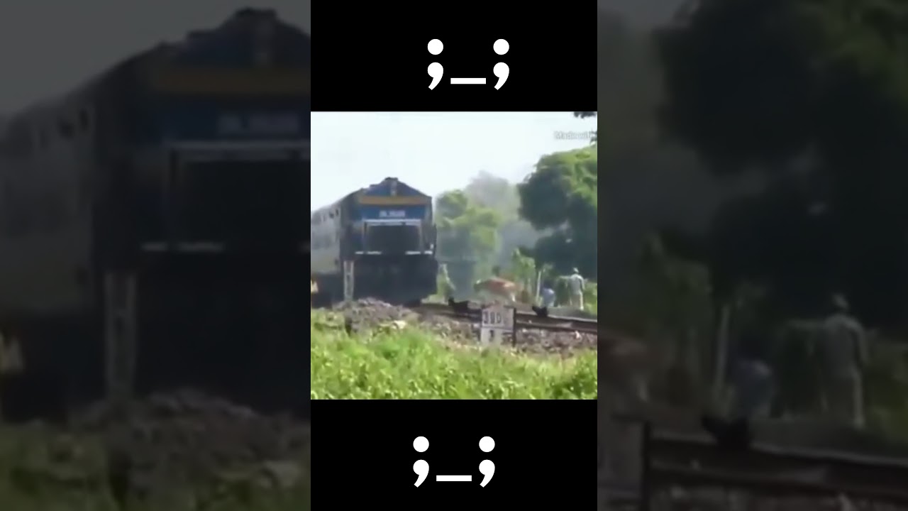 animals that hit by train - Deer vs Train - YouTube