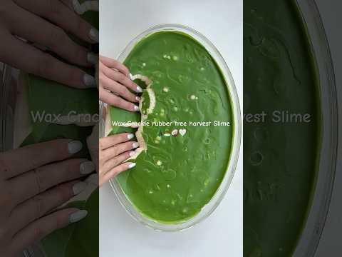 Creamy Slime + Wax Shell ASMR 💚 So Satisfying & Relaxing! | JoliSlime.com