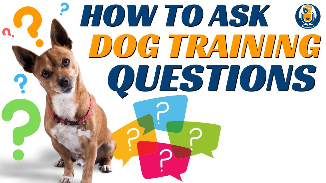 Questioning Dog