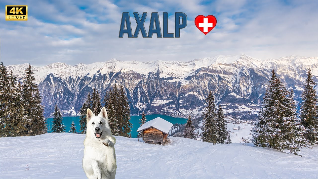 A wonderful winter hike at Axalp - above Brienz am See - YouTube