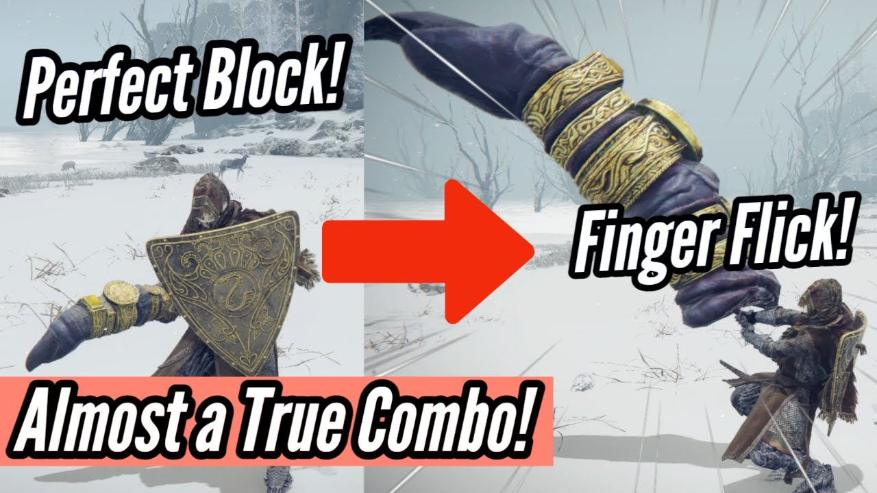 PERFECT BLOCK into Finger Flick is So Smooth! - ALMOST a True Combo ...