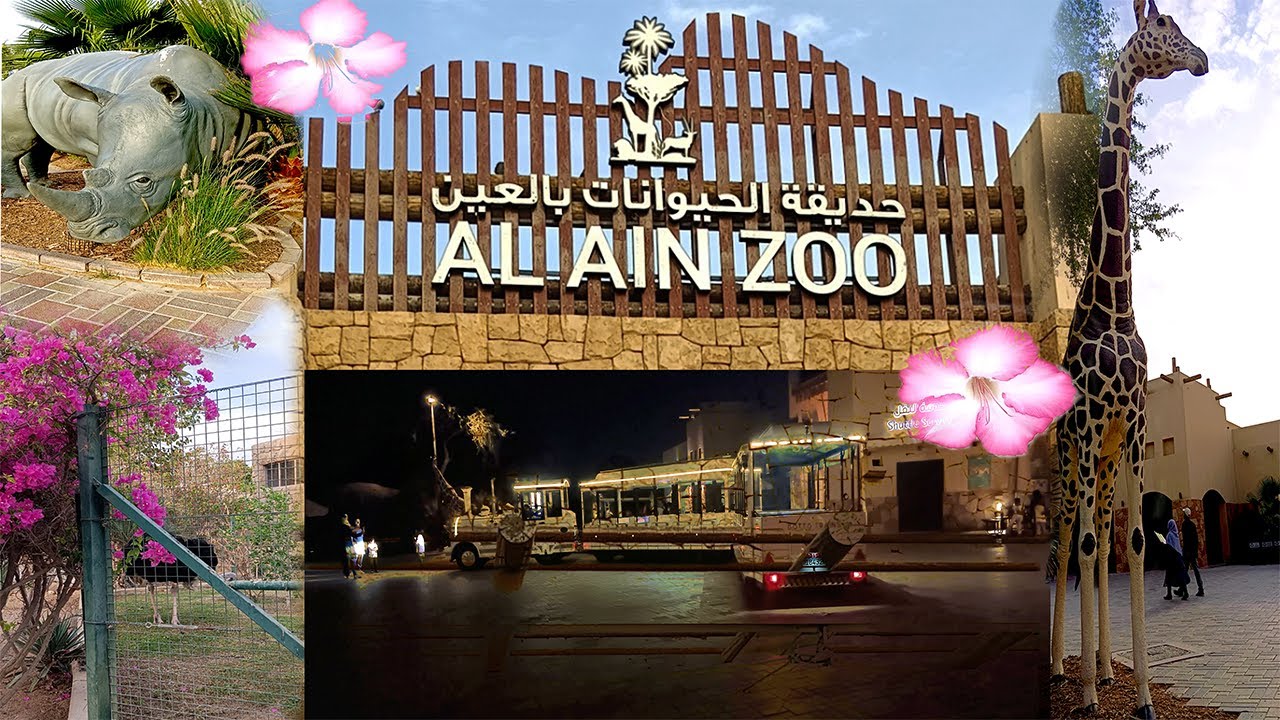 Al ain Zoo Uae / uaetravelsites / viralvideos / entertainment ...
