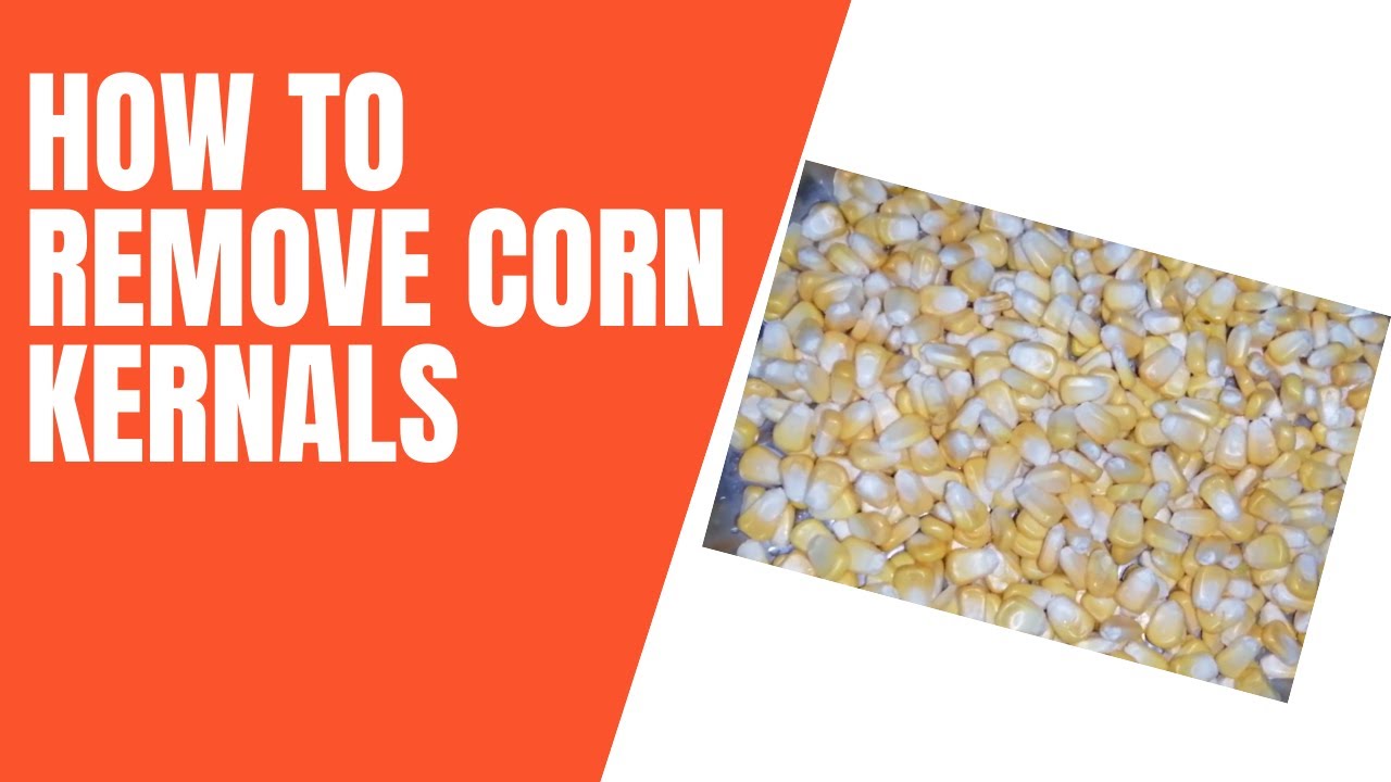 How To Remove Corn Kernels In Simple Steps - YouTube