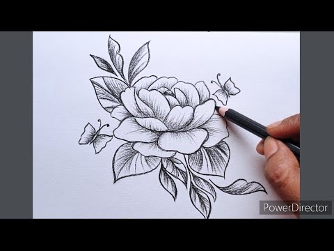 How to Draw a PEONY FLOWER step by step tutorial | Peony Flower Drawing ...