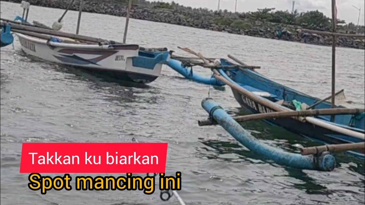 bila musim ikan datang‼️mancingnya begini - YouTube