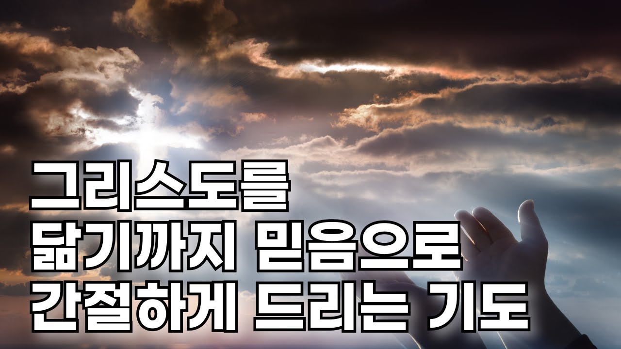 그리스도를 닮기까지 매일 간절한 마음으로 따라하는 기도 자신이 주인공이 되어 입술로 고백하면 이루어진 것을 반드시 알게 하시는 믿음의 기도 매일 아침저녁으로 따라하는