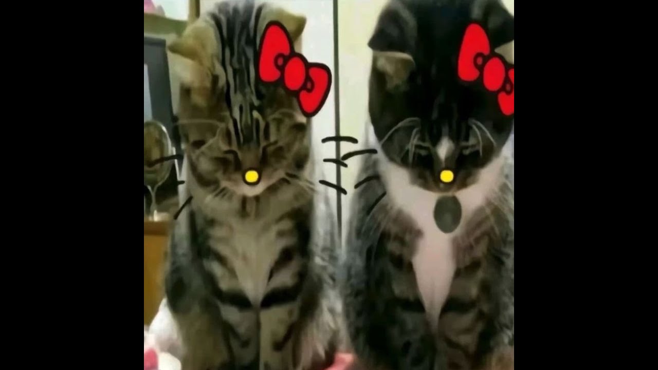 prettifun + ginseng + che type beat - kindakrazy - YouTube