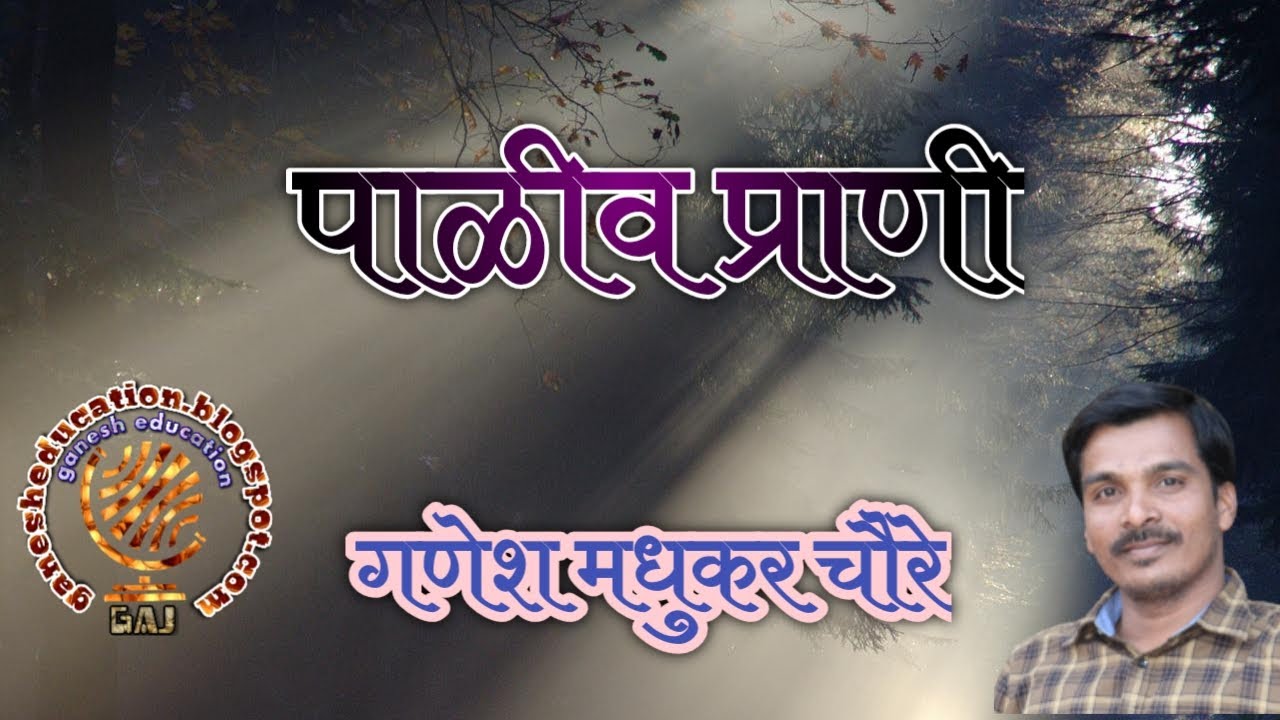 पाळीव प्राणी / Pet Animal / Paliv prani - YouTube