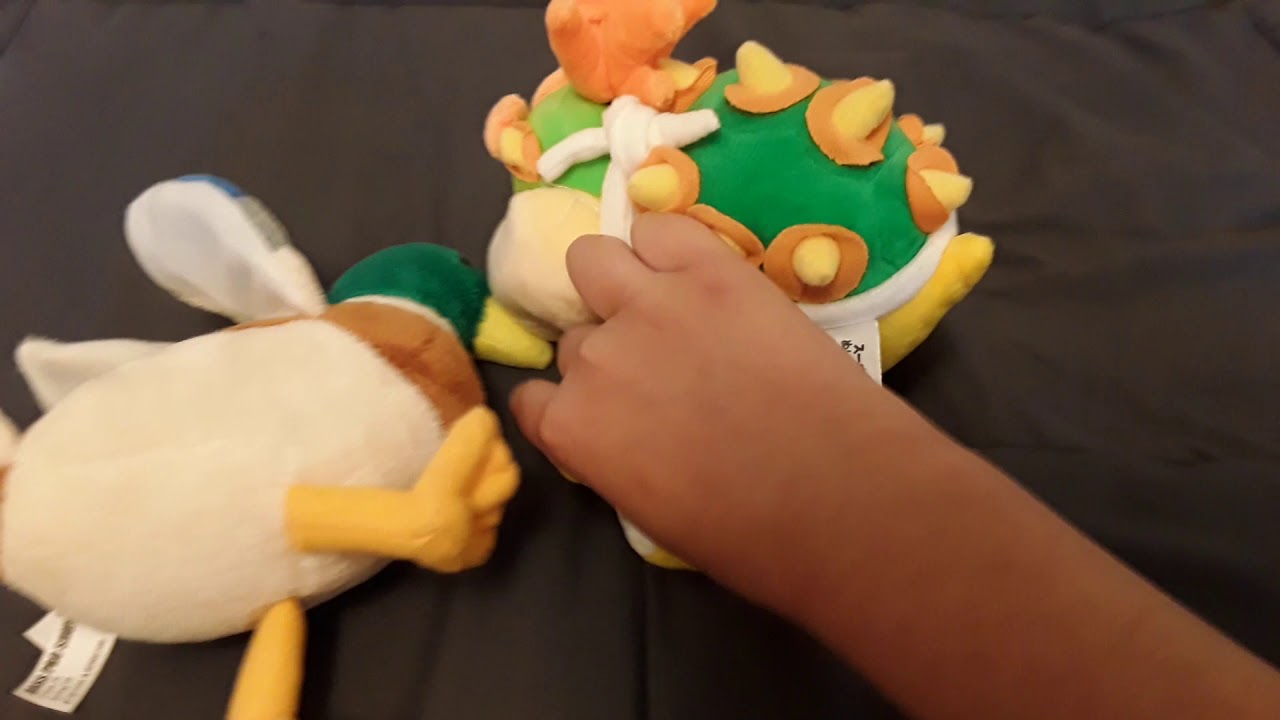 Bowser Juniors pet duck - YouTube