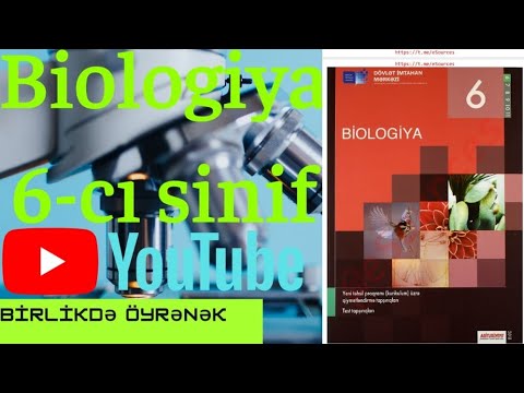 6-cı sinif DİM Biologiya (Bölmə4 Variant B)
