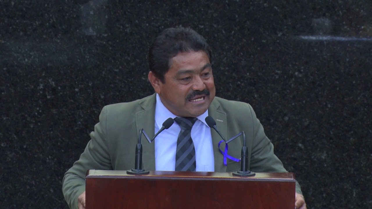 Dip. Ramón Román Vázquez, Sesión Ordinaria del 25 de febrero ...