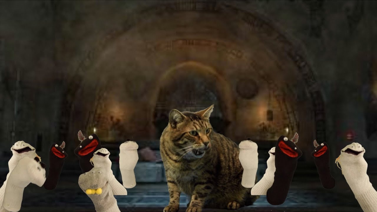 Rodney A Cat In Space - YouTube