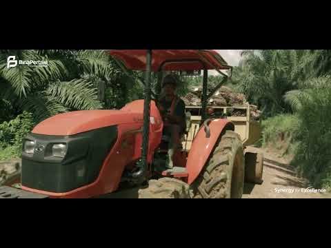 Mekanisasi Perkebunan Kelapa Sawit | Pengangkutan Kelapa Sawit dengan Traktor, Grabber dan Trailer