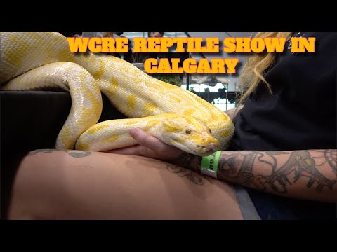 WCRE Reptile Expo In Calgary And PISCES Pet Emporium Tour!