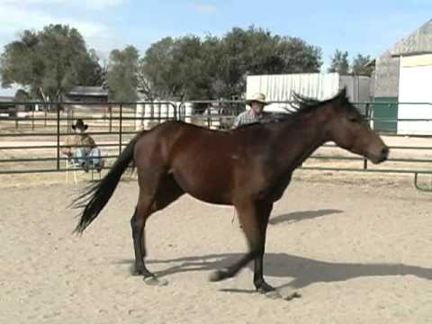 Paul Gallegos Method Part 1.mp4 - YouTube