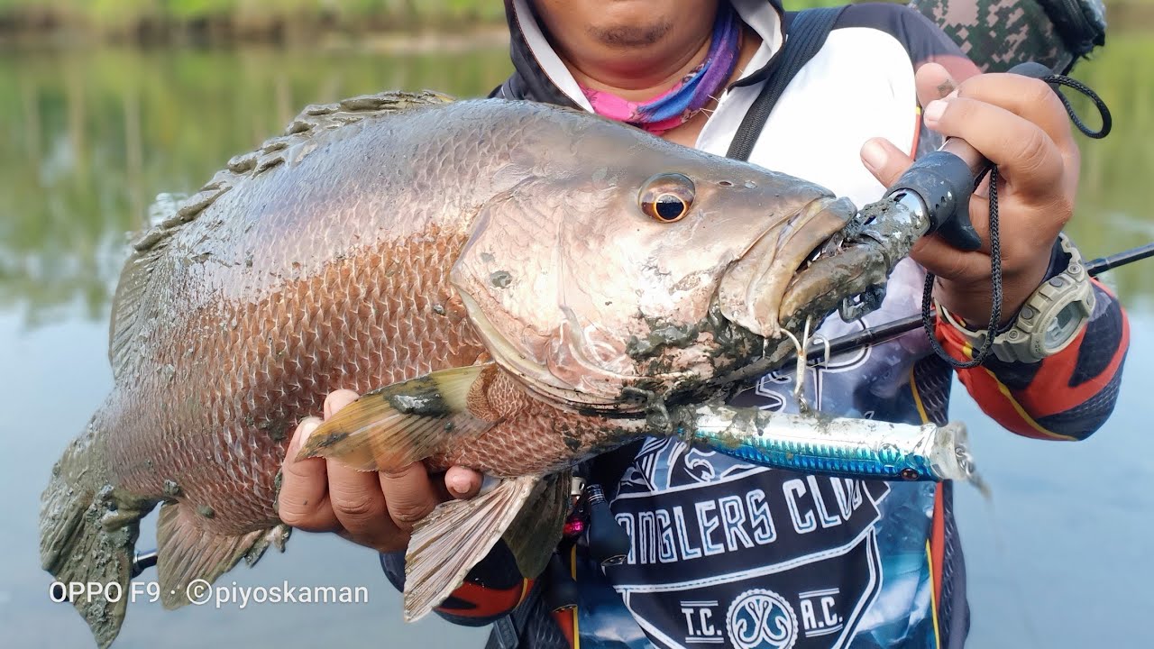 BLACK BASS IN THE PHILIPPINES(episode 1) - YouTube