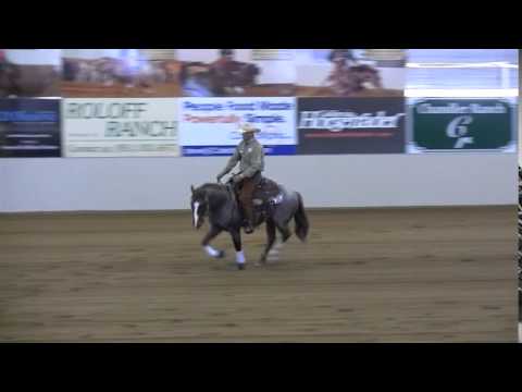 Boonlight Roan Bar Rein - YouTube