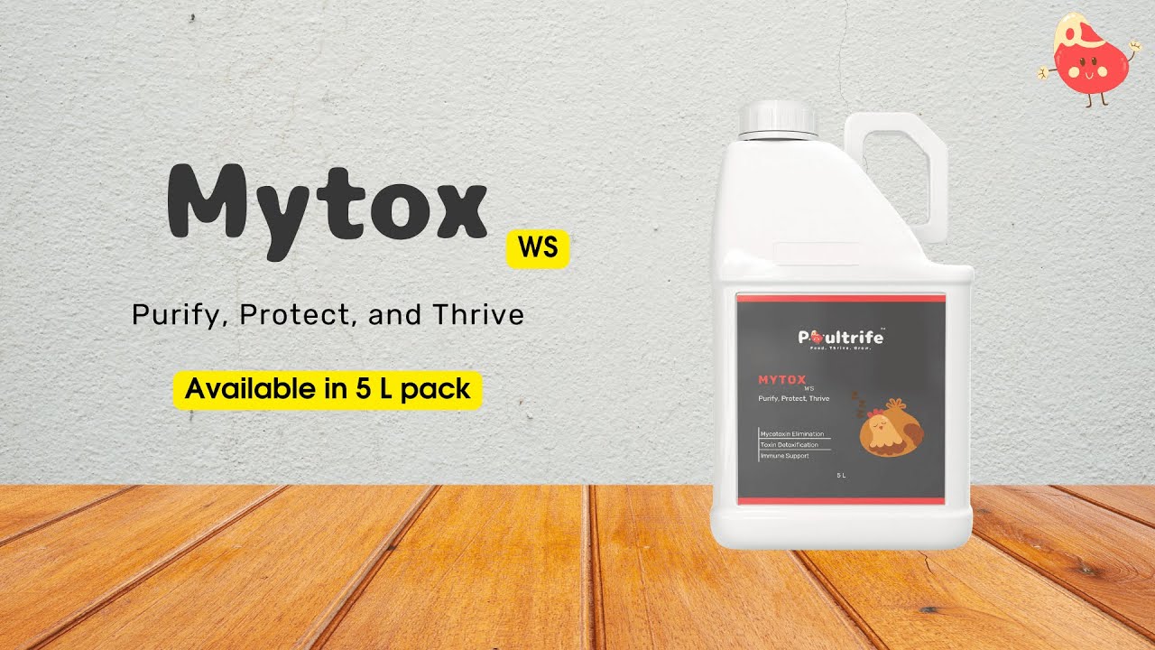 Mytox WS Purify, Protect, Thrive for Your Poultry - YouTube