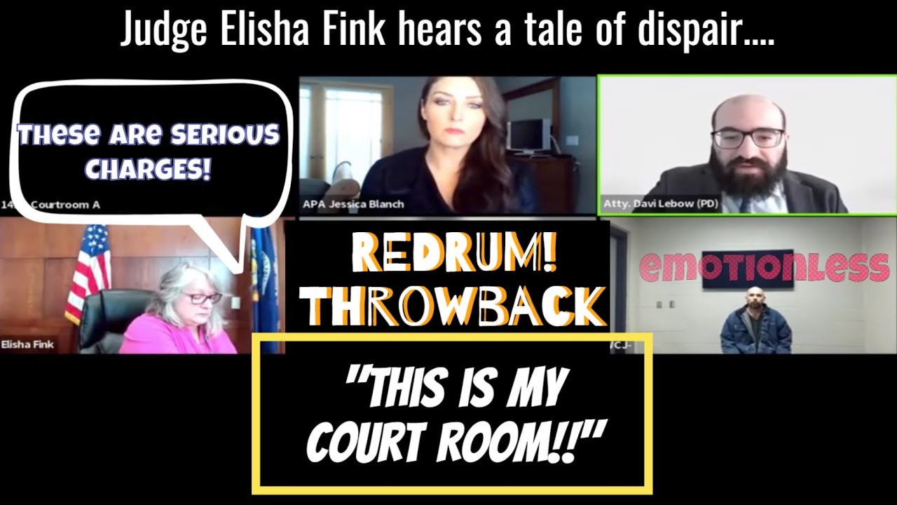 Judge FINK "This is MY COURTROOM!!" ~ REDRUM! and other tales of WOE ...