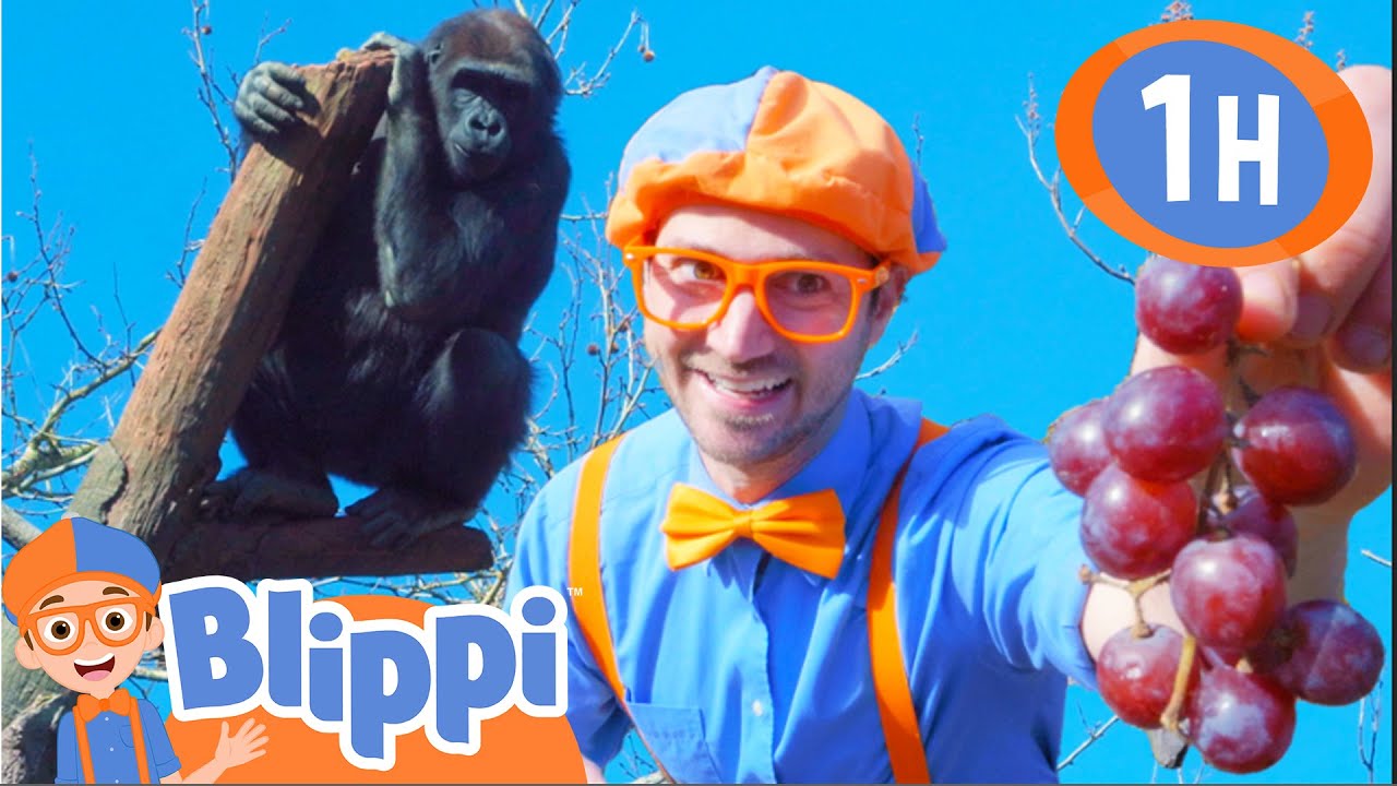 Blippi Feeds the Animals at the Zoo! | 1 HOUR OF BLIPPI TOYS! | Animal ...