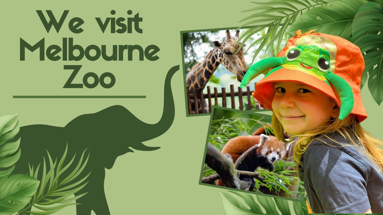 Melbourne Zoo Visit; Zoo Animals gone wild! Elephants, Lions and ...
