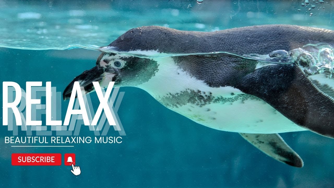 Relaxing Music with Nature Sounds, Forest Music, Sleep Music ...