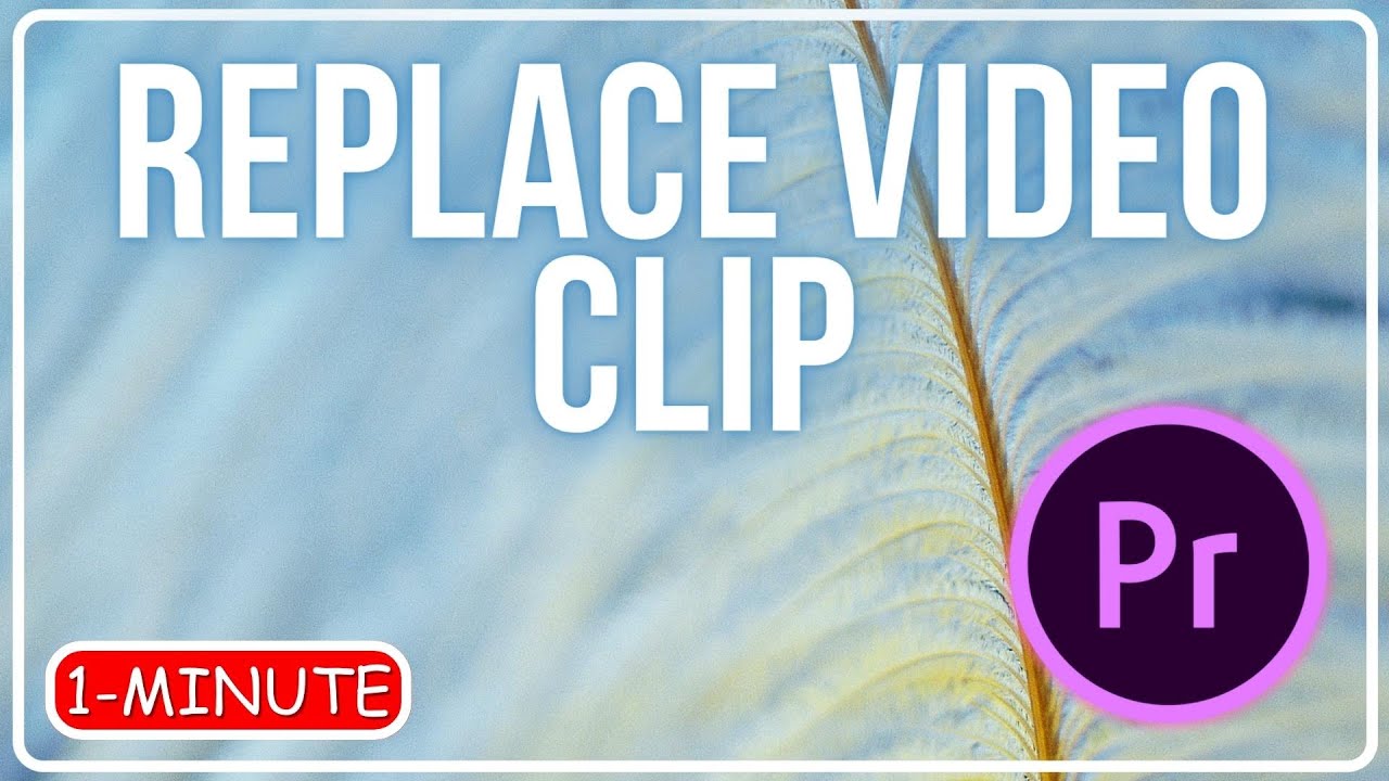 Premiere Pro : How to Replace Video Clips - YouTube