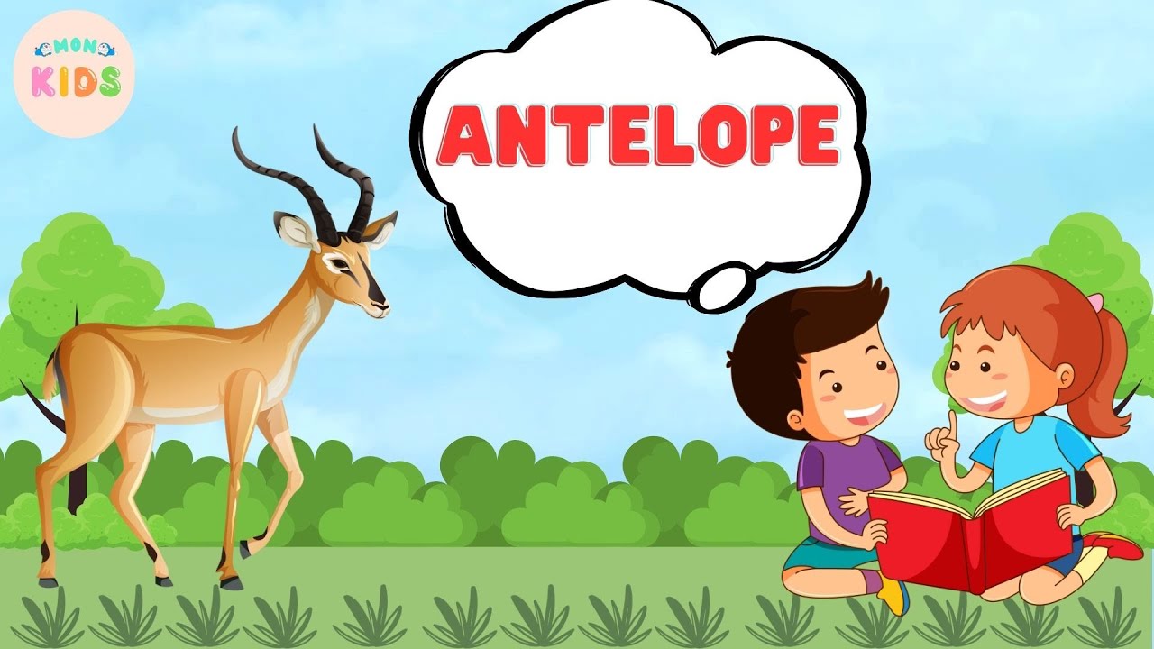 Antelope Facts For Kids 😊 Learn All About Antelopes | MON Kids - YouTube
