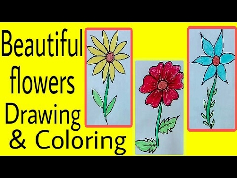 Drawing Lessons : How to Draw Simple Flowers for Kids