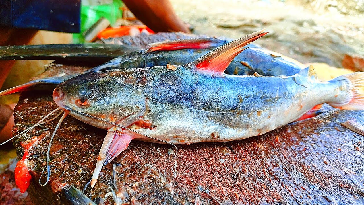 30 Baghar Fish Cutting🍴 - YouTube